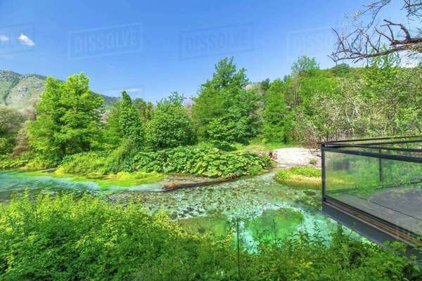 Blue Eye natural spring features a remarkable clarity, displaying ...