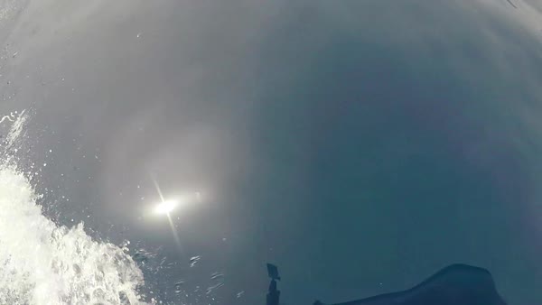 Overhead of blue ocean water from speedboat - HD Royalty-free Stock ...