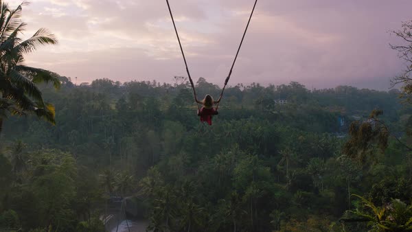 Tourist woman swinging over tropical jungle at sunrise travel girl ...