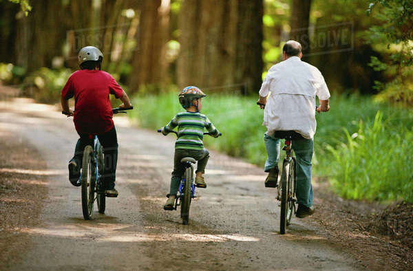 Two boys riding their bicycles with their father through the forest ...