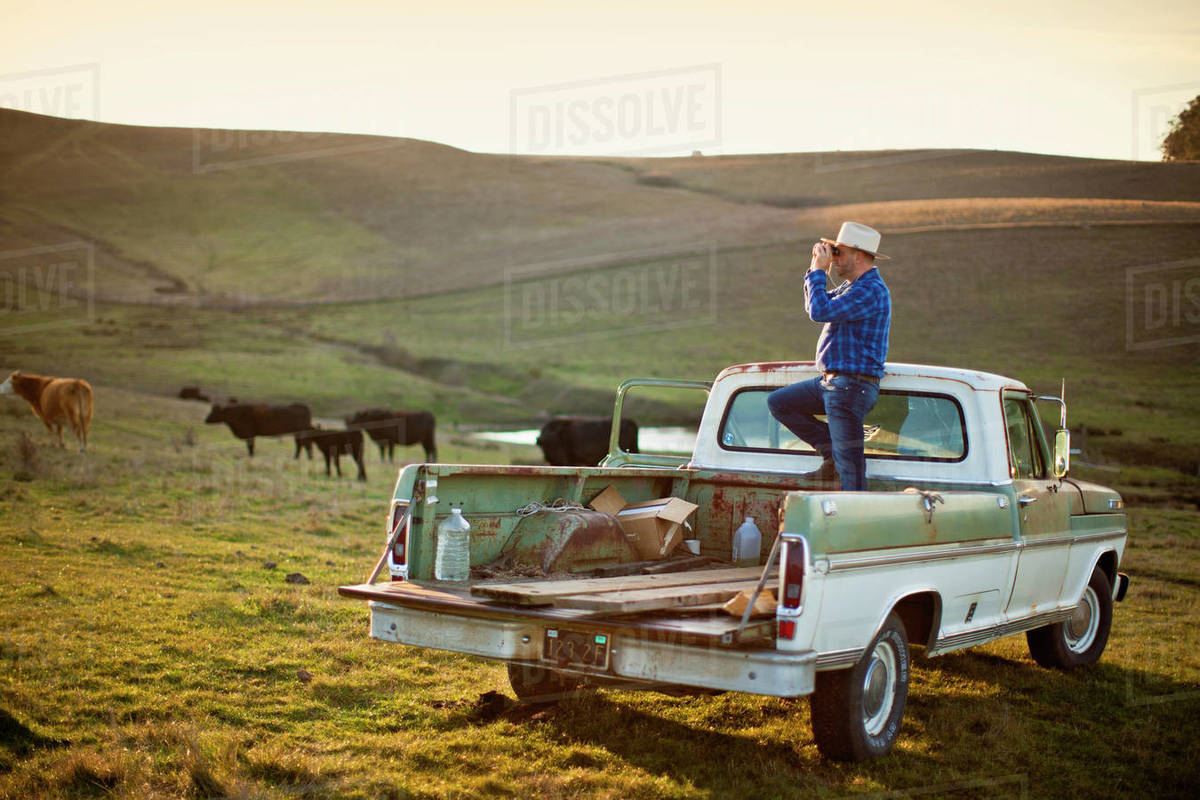 Farmer looking through binoculars on a paddock. - Royalty-free Stock ...