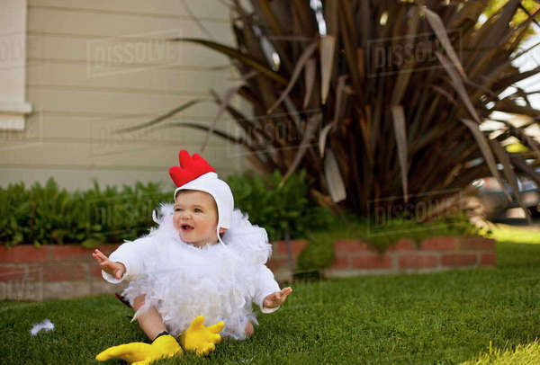 Young boy dressed as chicken sitting on a back lawn. - Royalty-free ...