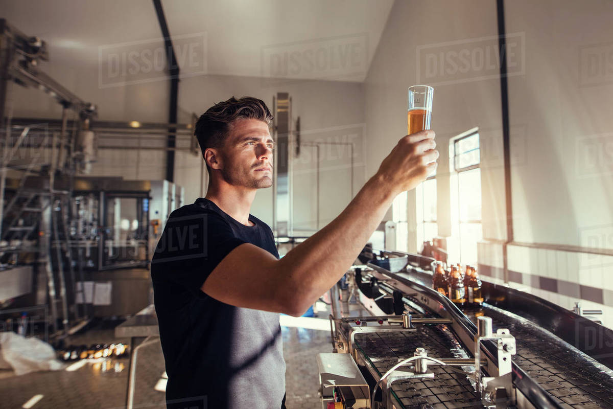 Young man examining the quality of craft beer at brewery. Male ...