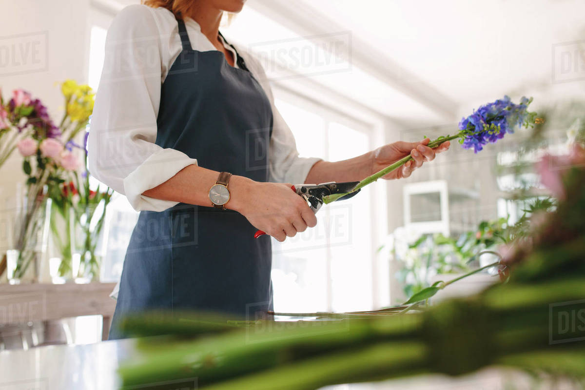 Hands of female florist cutting flowers with scissors and designing ...