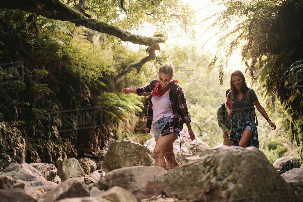 Group of friends on a mountain hike. Men and women walking through ...