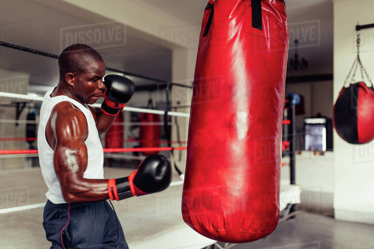 Muscular sweaty African boxer working out in a gym on a red leather ...