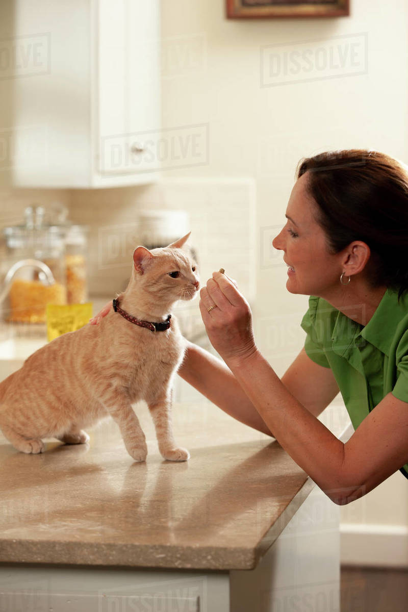 Middle Aged Caucasian woman giving her cat a treat in the Kitchen, cat ...