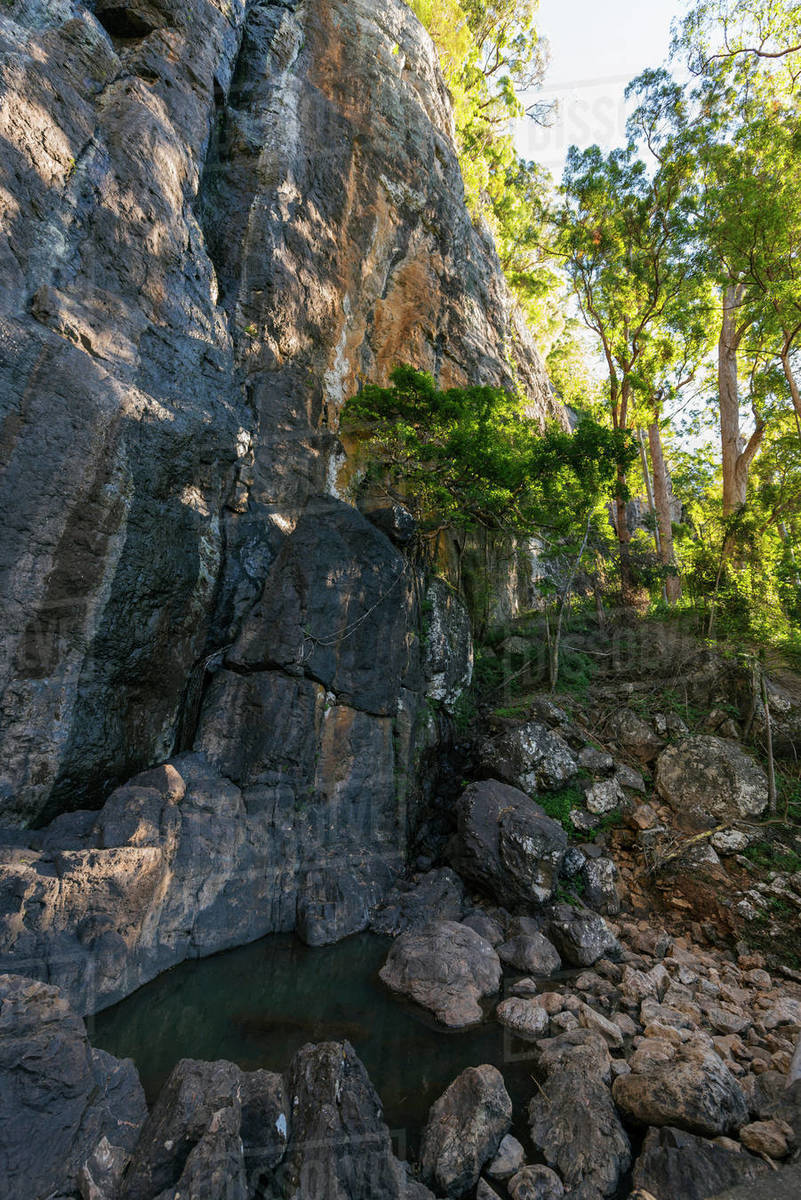 Natural Pool as the base of high rocky cliff in Springbrook National ...