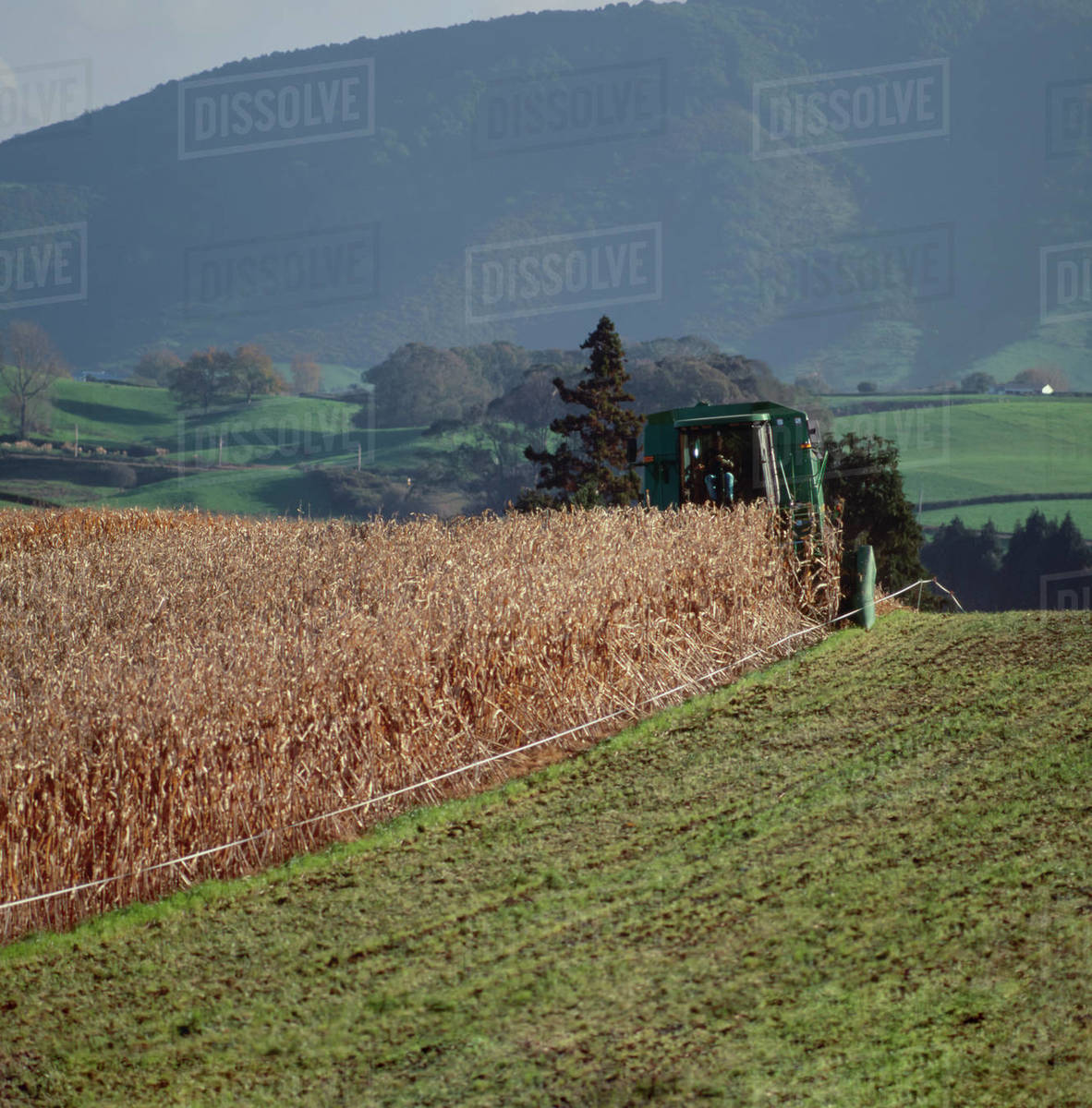 Combine Harvester harvesting Maize - Royalty-free Stock Photo | Dissolve