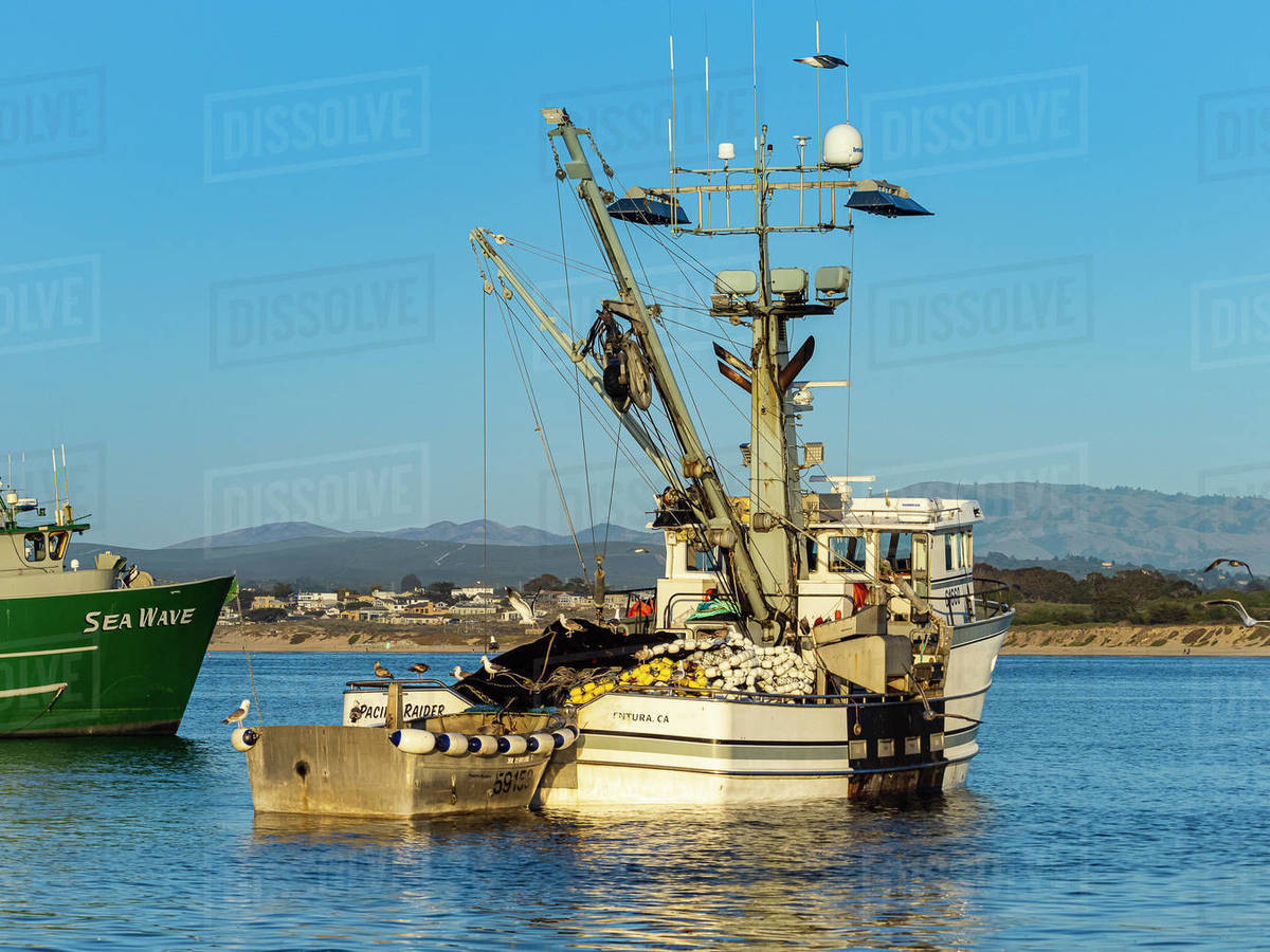 Not a true Refuge, Squid fishing boats in Monterey Bay, Monterey Bay ...