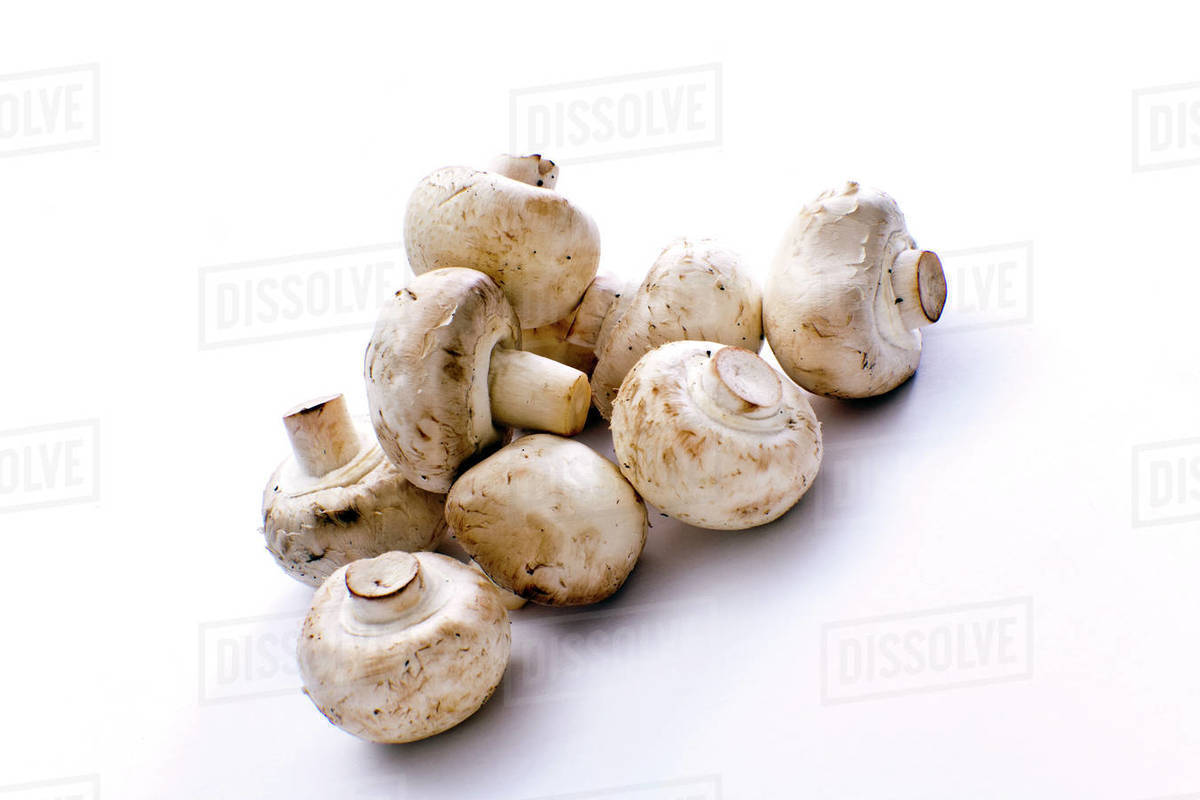 Champignons isolated on white background - Royalty-free Stock Photo | Dissolve