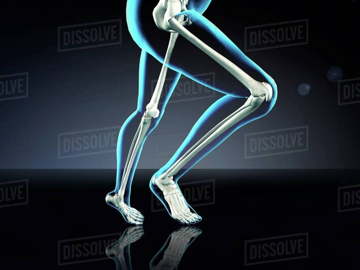 Blue X-ray of woman's leg bones running on dark blue background - Stock ...