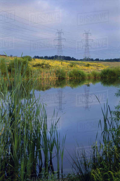 Electricity pylons in a field near a pond - Royalty-free Stock Photo ...