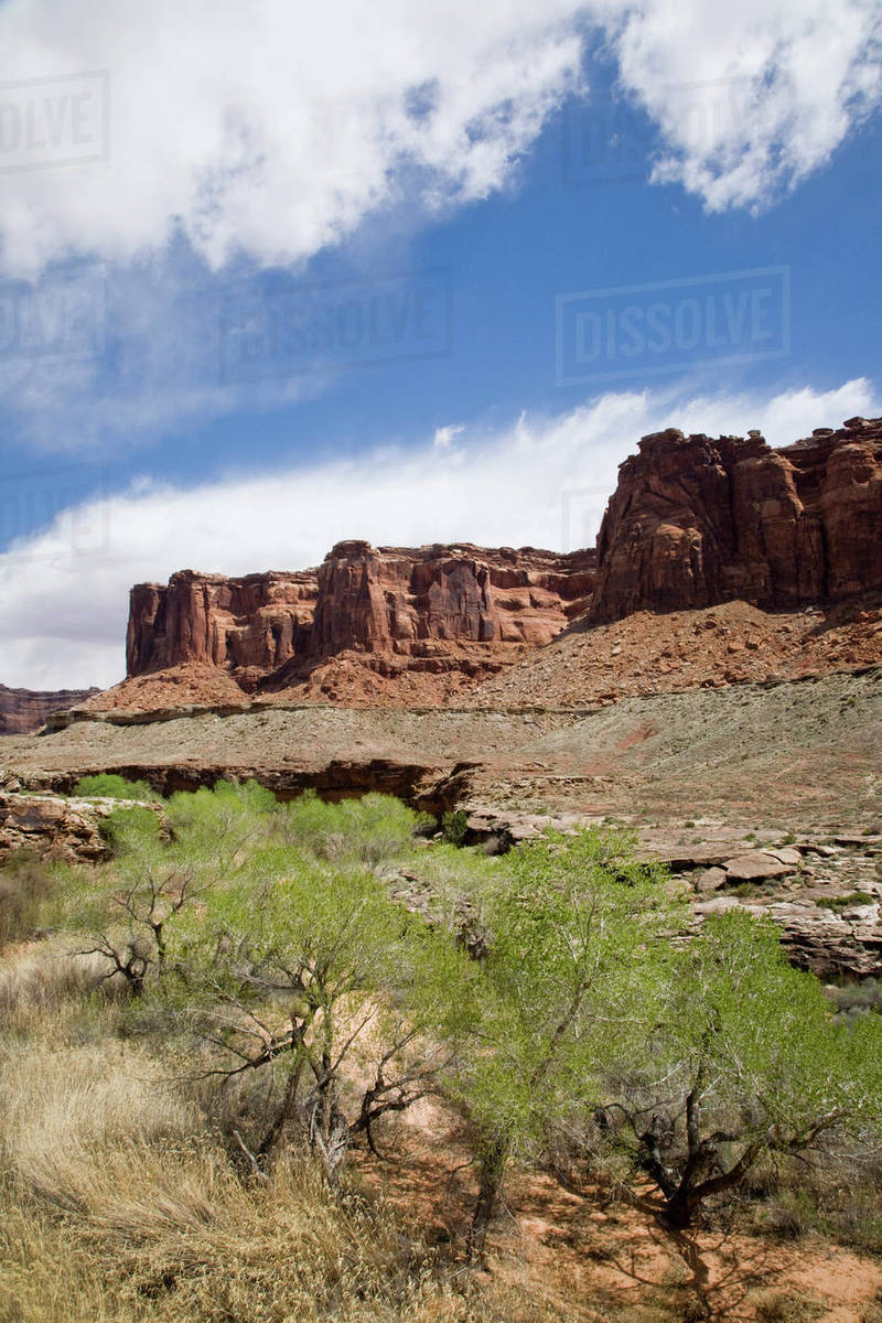 Rock formations on a landscape, Green River, Canyonlands National Park ...