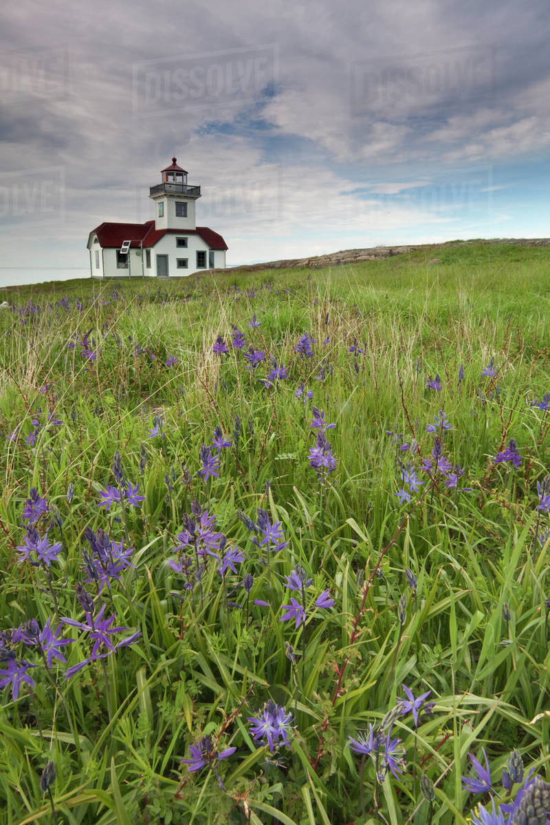 USA, Washington, San Juan Islands, Patos Island Lighthouse - Royalty ...
