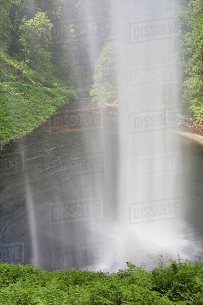 Waterfall in a forest, South Falls, Silver Falls State Park, Silverton ...