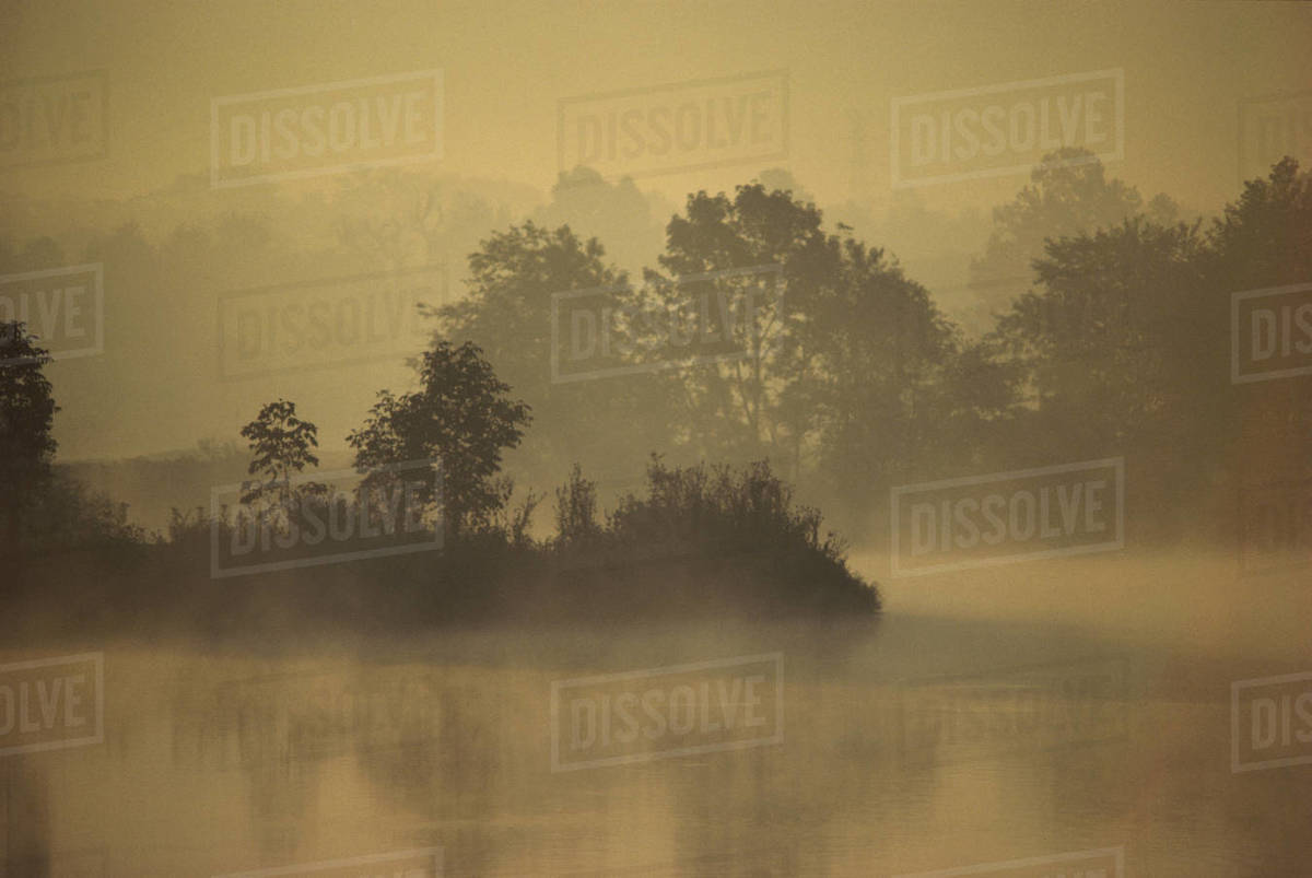 Fog over a lake - Royalty-free Stock Photo | Dissolve