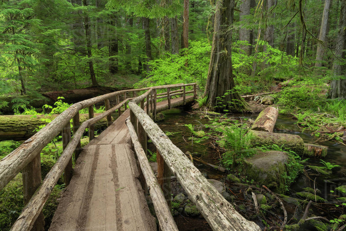 Wooden bridge on the Tamoitch Falls Trail, Cascade Range Oregon ...