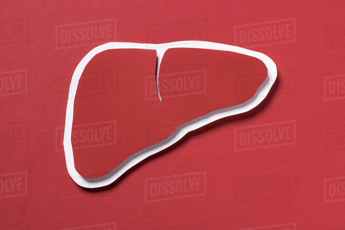 Top view of liver on red background, healthcare concept - Stock Photo ...