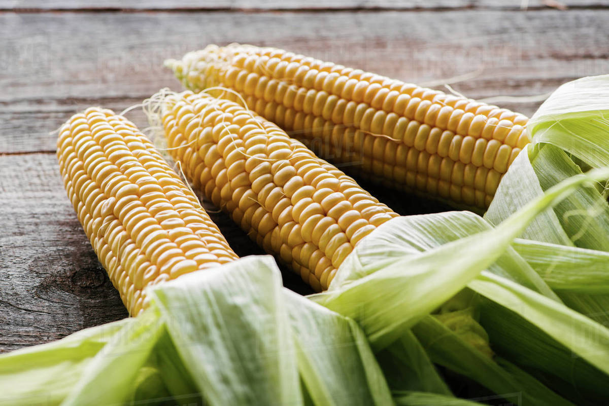 Close up view of fresh raw corn cobs on wooden surface - Royalty-free ...