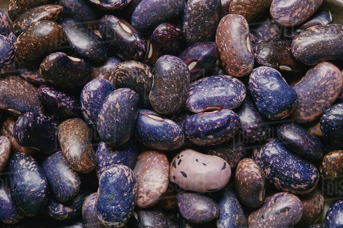 Close-up view of raw dry purple haricot beans texture - Royalty-free ...