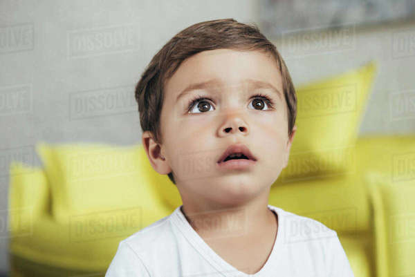 Portrait of adorable shocked boy at home - Stock Photo - Dissolve