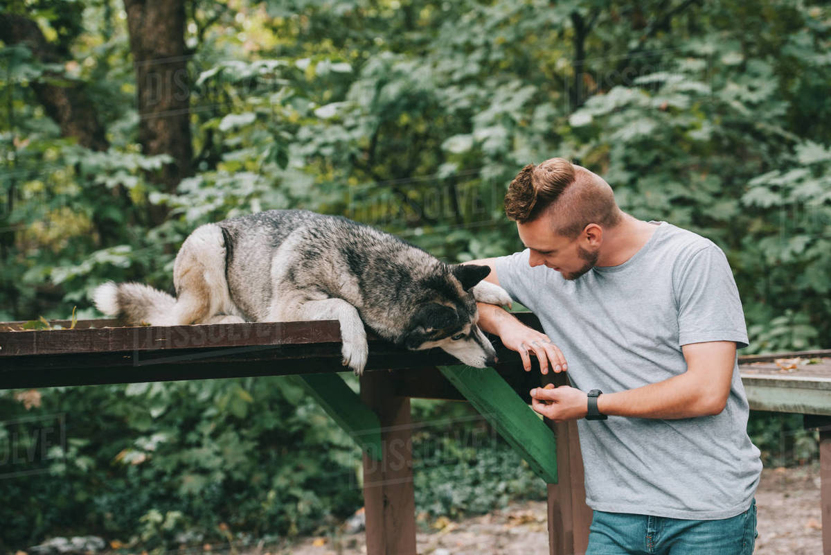 Handsome man with siberian husky dog in park - Royalty-free Stock Photo ...