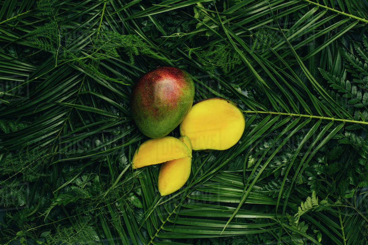 Top view of fresh mangos on green palm leaves - Royalty-free Stock ...