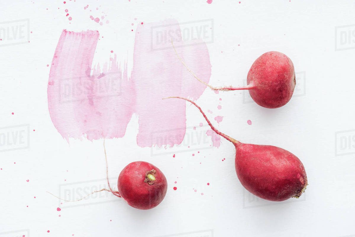 Top view of ripe radishes on white surface with pink watercolor strokes ...