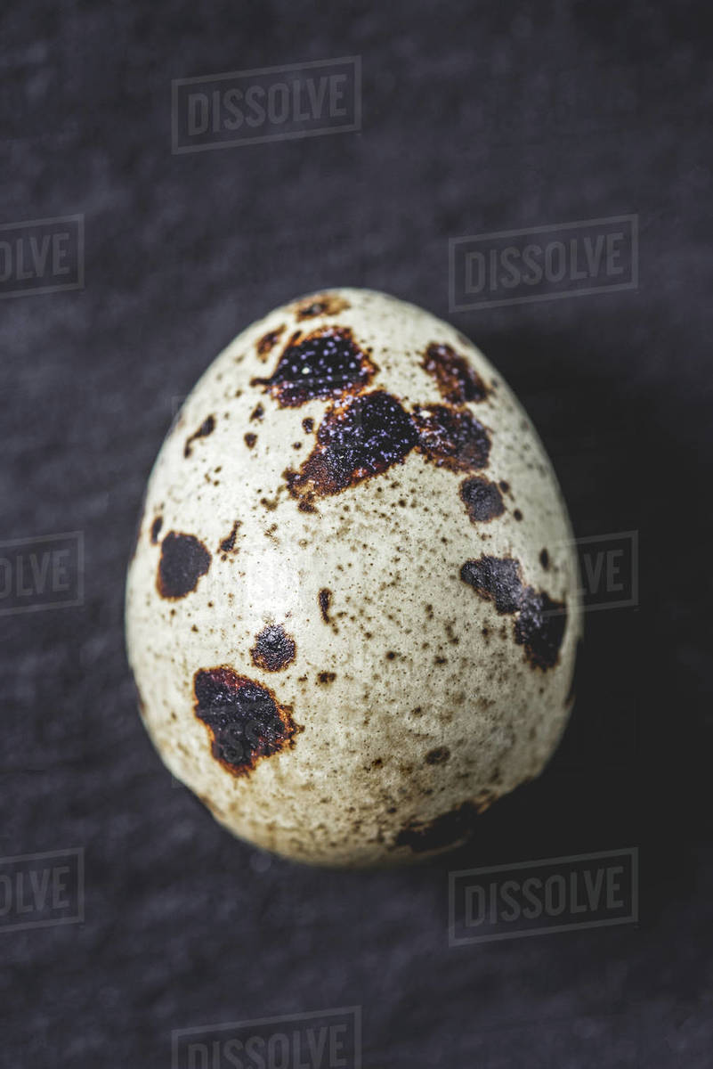 Top view of organic unshelled quail egg on black, close-up view ...