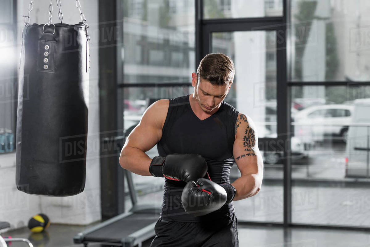 Handsome muscular boxer wearing boxing gloves in gym - Stock Photo ...