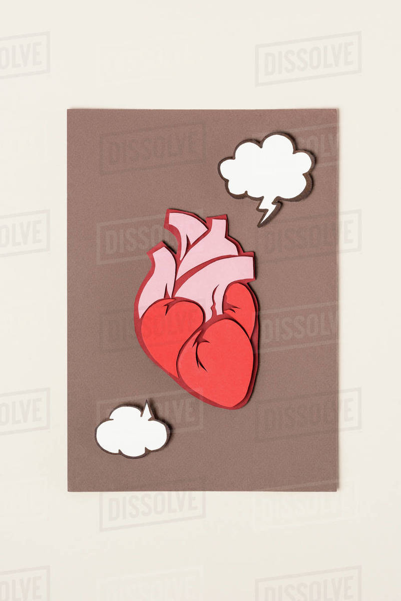 Flat lay with anatomical human heart on brown with beige - Royalty-free ...