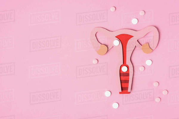 Top view of female reproductive system and pills on pink - Royalty-free ...