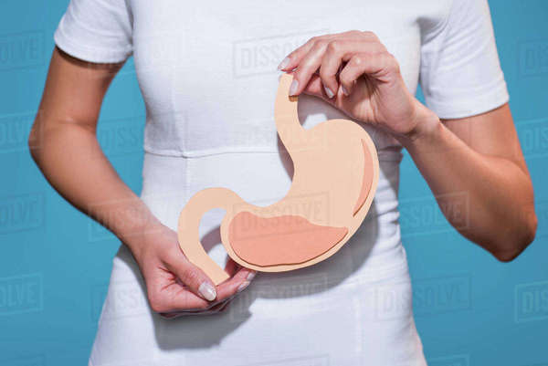 Cropped shot of woman holding paper crafted stomach in hands on blue ...