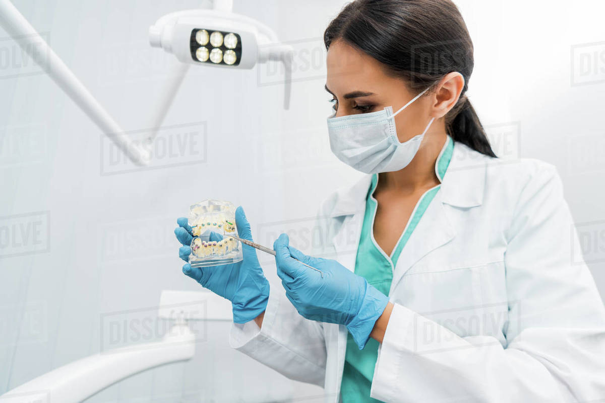Female stomatologist in mask holding dental jaw model with braces ...