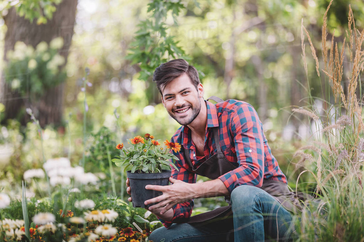 Portrait of smiling gardener holding flowerpot in hands and looking at ...