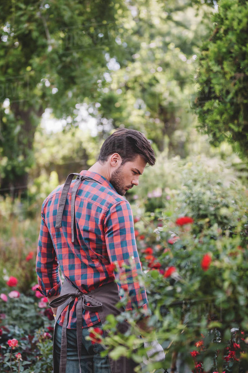 Back view of handsome gardener in apron walking in garden with various ...