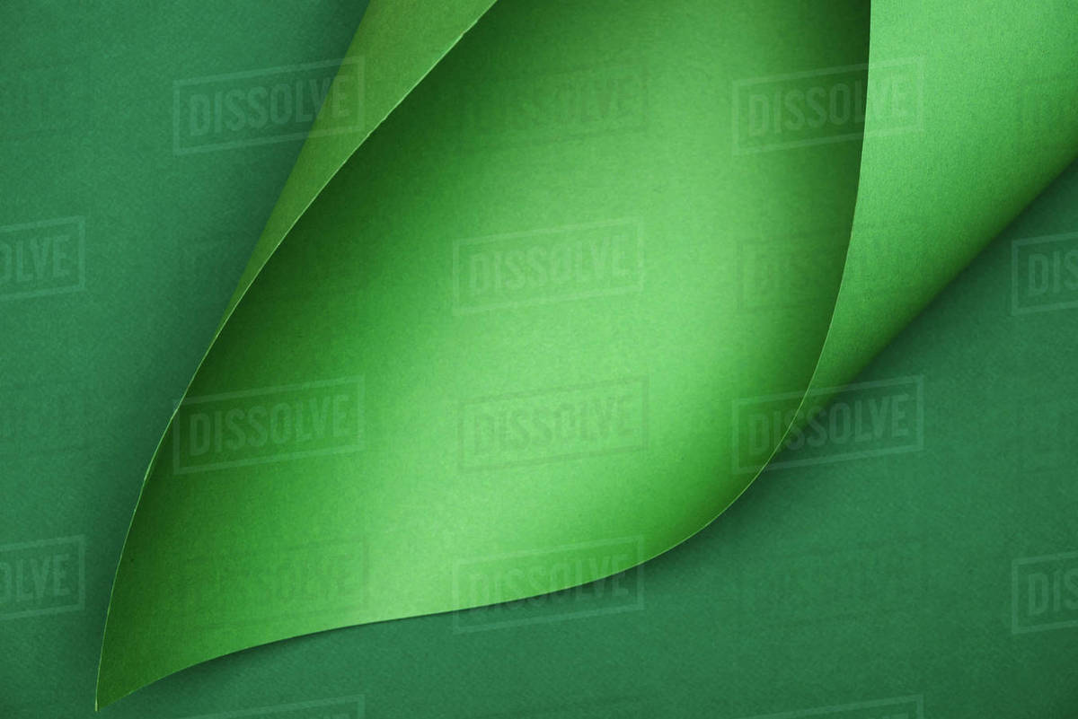 Elevated view of green paper on colored background - Stock Photo - Dissolve