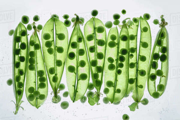 Fresh green peas floating in water with splash on white - Royalty-free ...