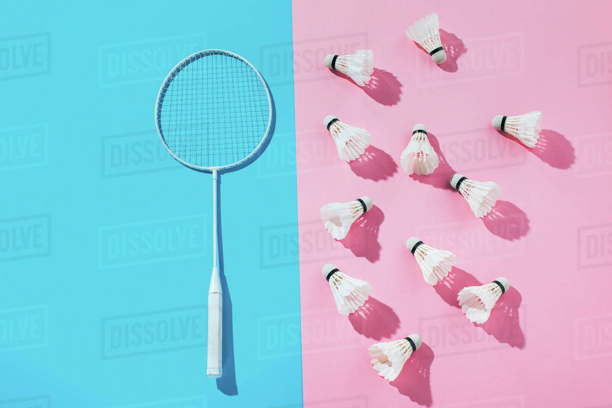 Top view of badminton racket on blue and shuttlecocks on pink - Stock ...