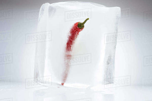 Composition with chili pepper in melting ice on light grey background ...
