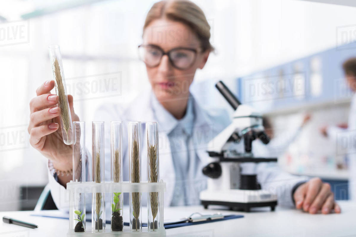 Chemist in white coat and eyeglasses, examining test tube with sample ...