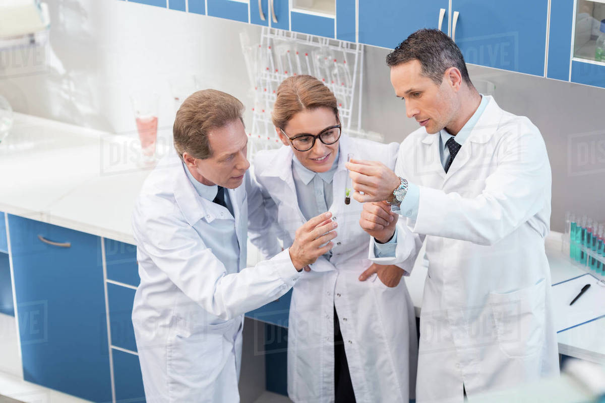 Professional team of chemists smiling while examining test tube with ...