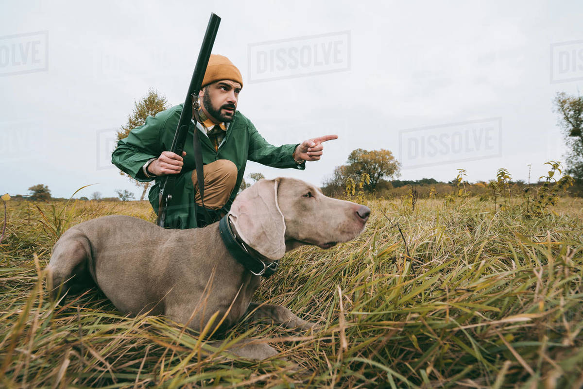 Handsome man squatting with a dog and hunting down an animal - Royalty ...