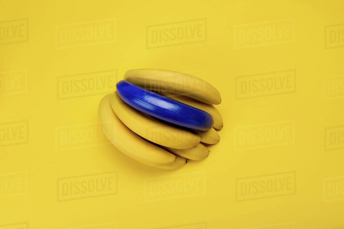 Top view of blue and yellow bananas isolated on yellow, bunch of ...