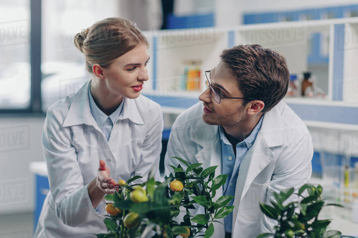 Happy biologists in white coats with lemon plants in laboratory ...