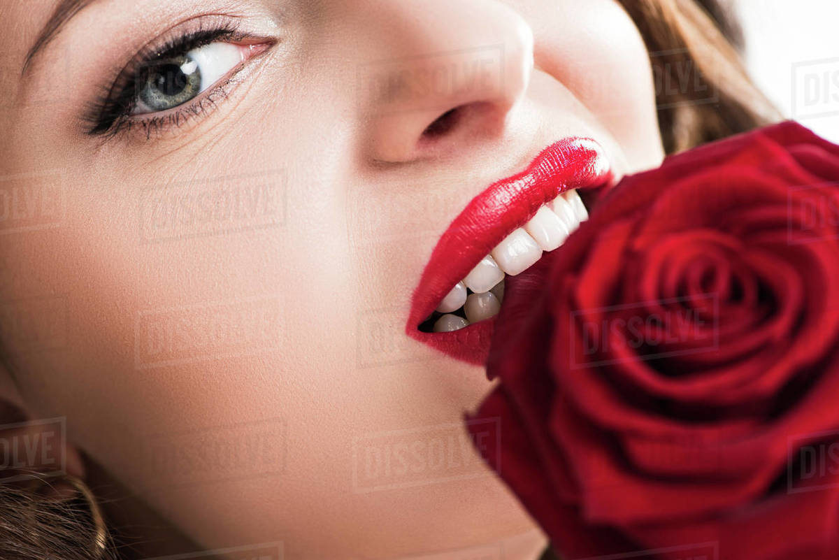 Cropped image of sensual girl biting red rose petals, valentines day ...