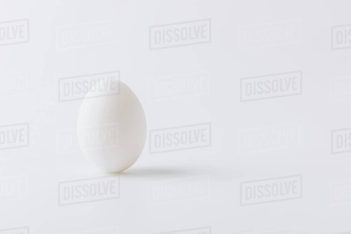 White egg laying on white background - Stock Photo - Dissolve