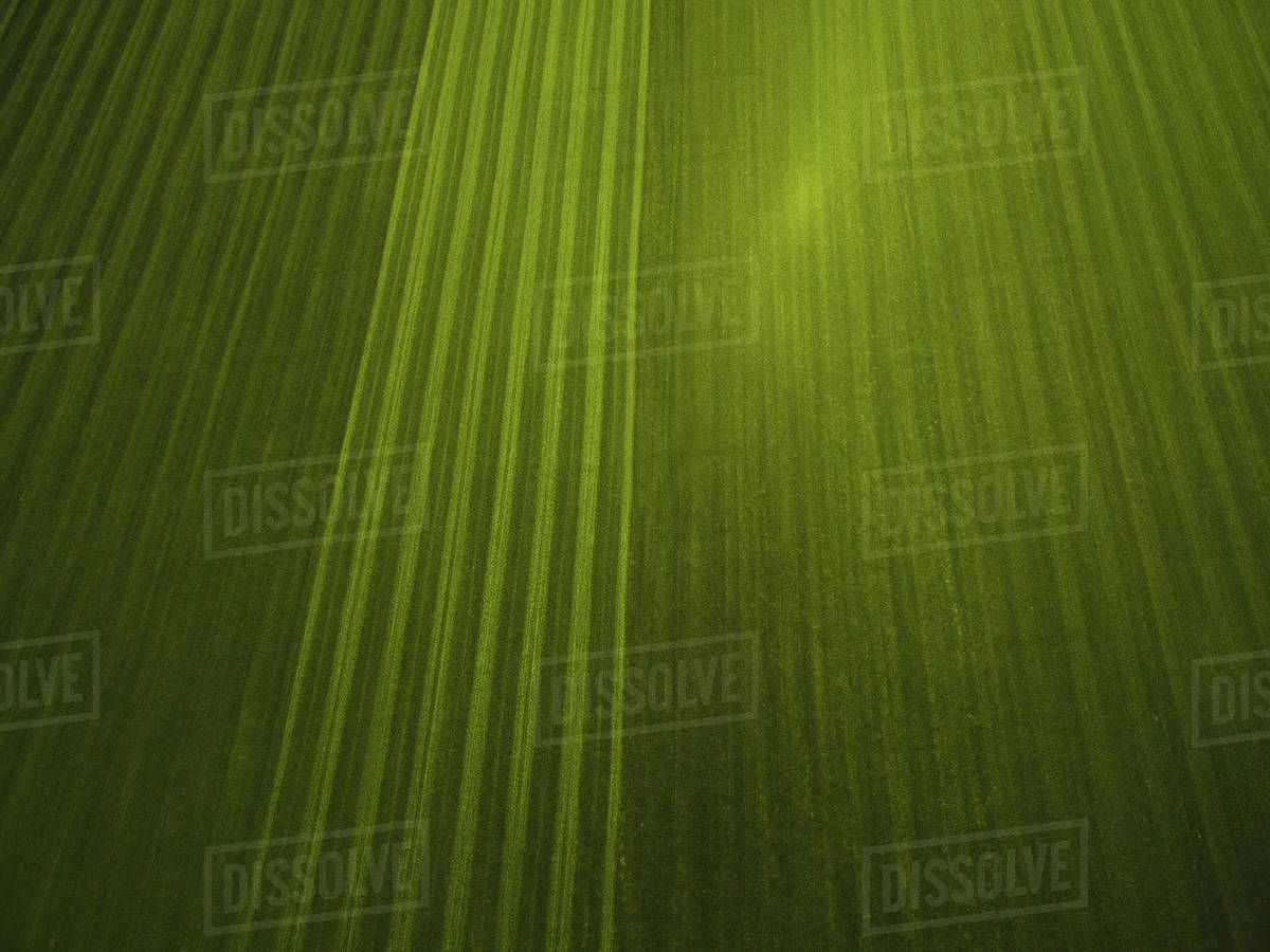 Aerial view of green field texture, Germany - Royalty-free Stock Photo ...