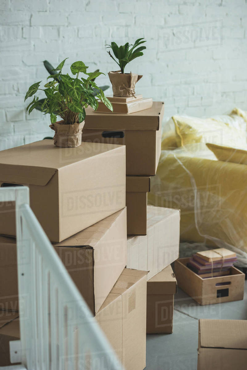 Close up view of cardboard boxes in room - Royalty-free Stock Photo ...
